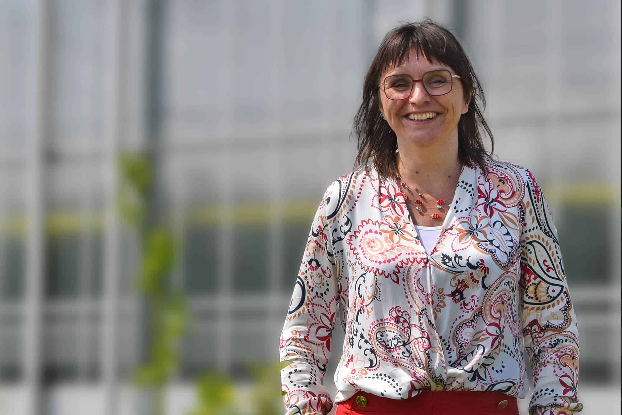 Over ons - Duijvestijn Tomaten