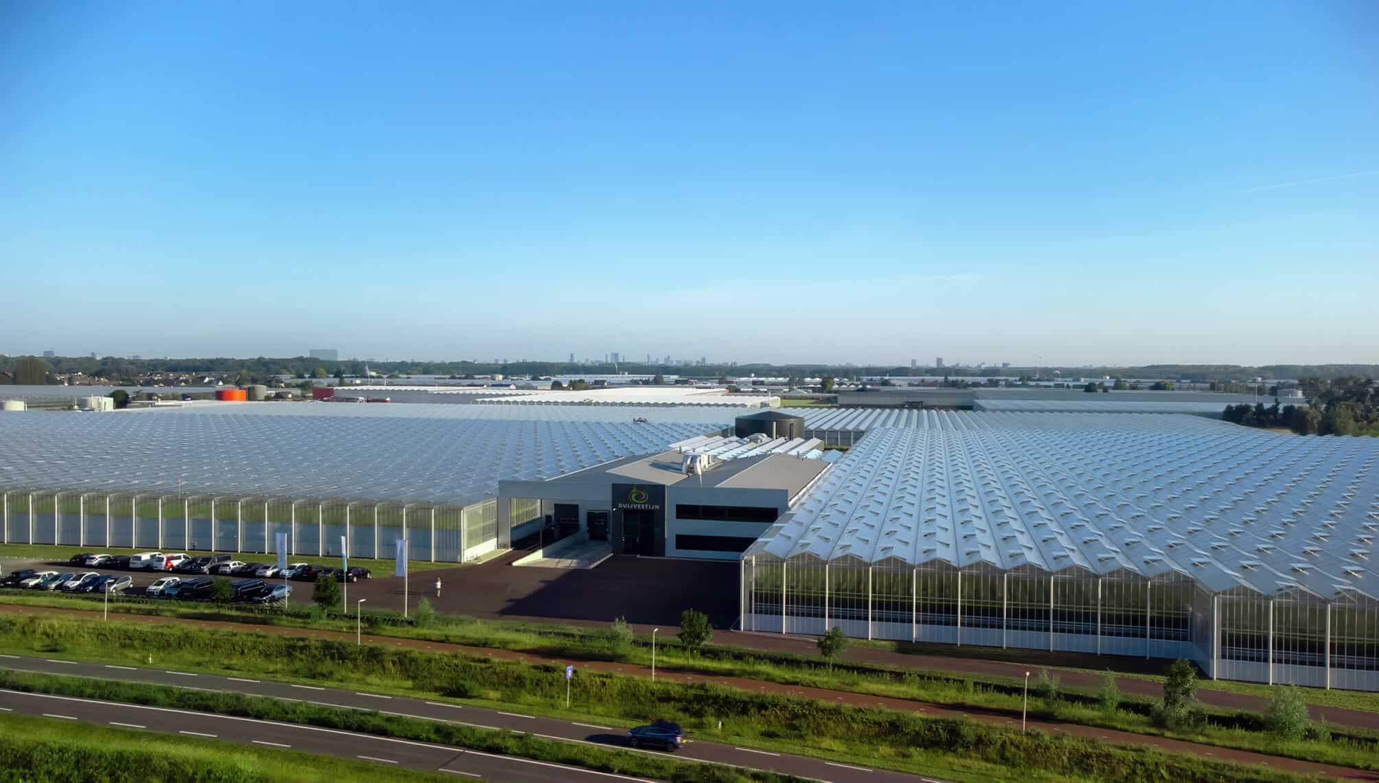 Duijvestijn Tomaten and The Flavour Farm strengthen growth ambitions ...