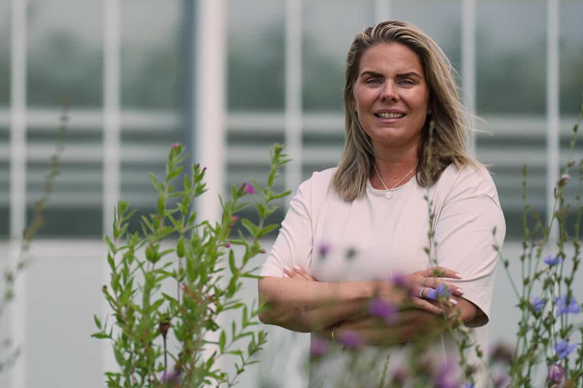 About us - Duijvestijn Tomaten